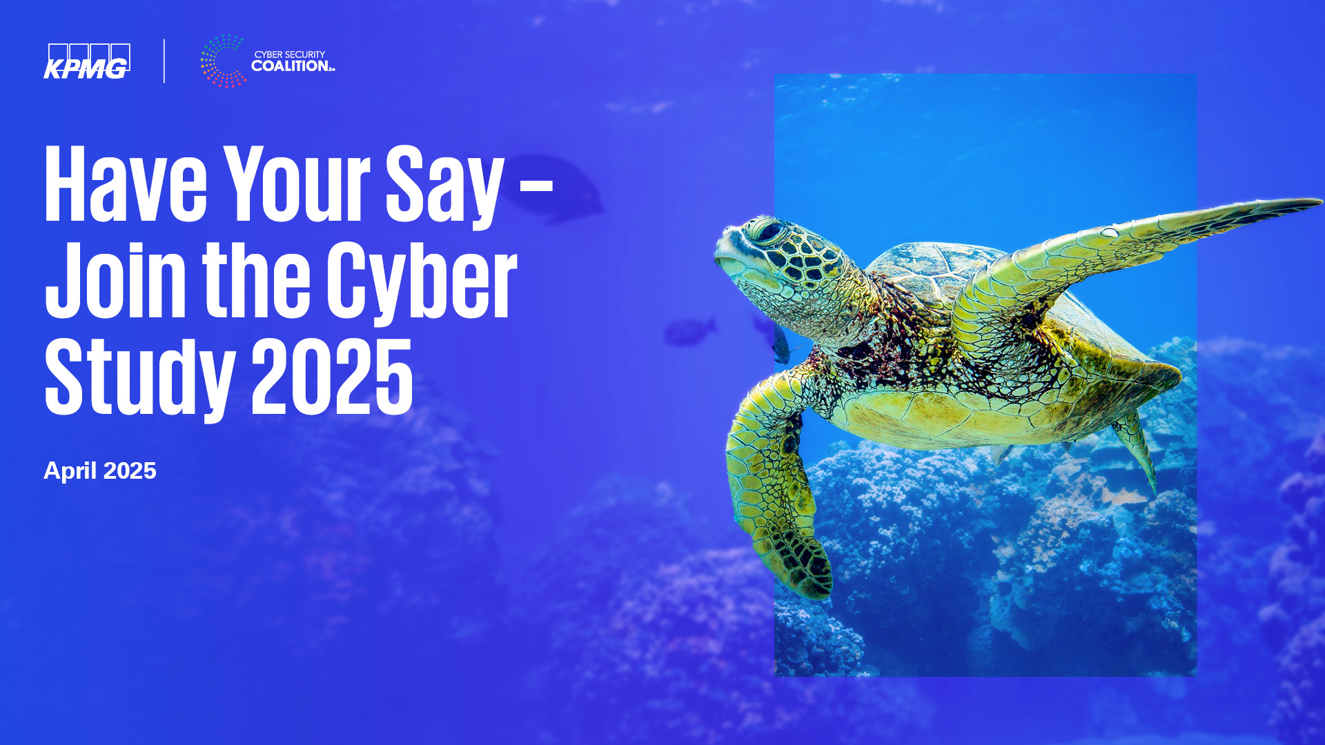 Coalition partners with KPMG to launch nationwide Cyber Study on ...